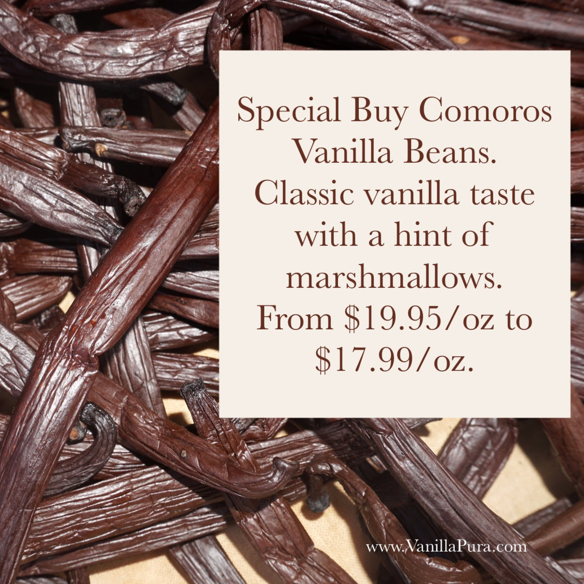 Special Buy! Group Buy - The Moroni - Comoros Vanilla Beans - For Vani ...