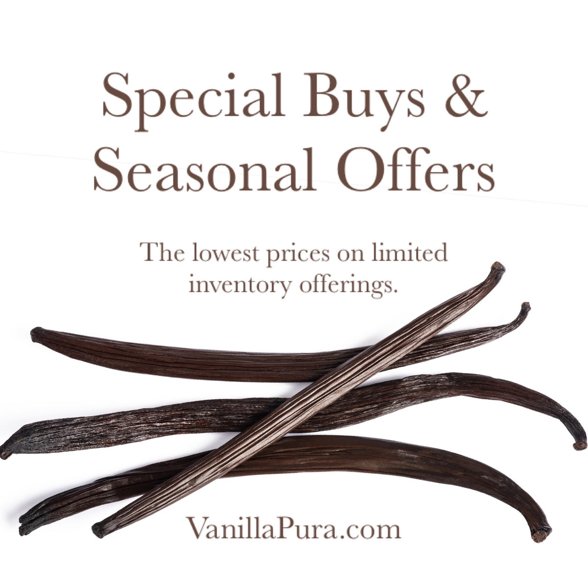 Special Buy Collection - Lowest Prices - Very Limited Inventory ...