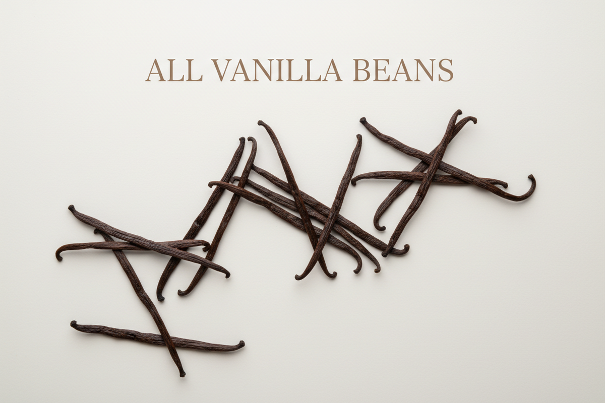 Todo el grupo compra vainas de vainilla, cacao, frutas y especias ...