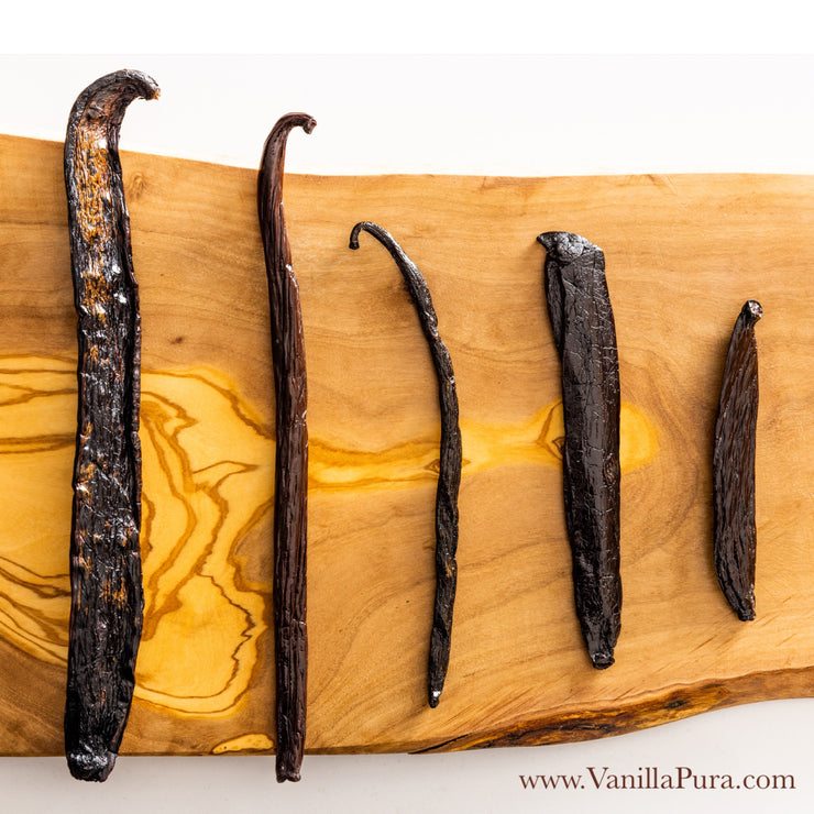 How Many Vanilla Beans Do You Need for DIY Vanilla Extract? – VanillaPura