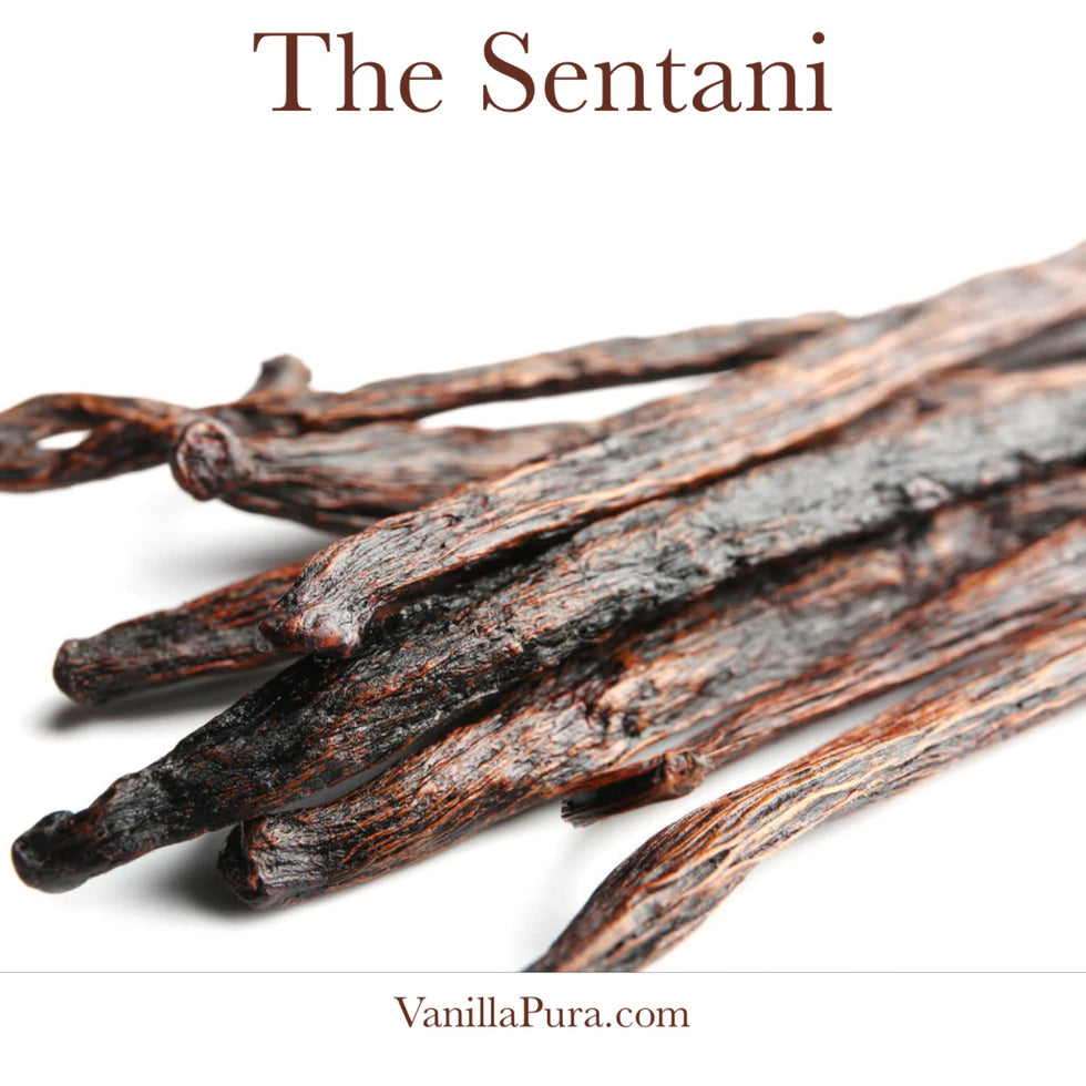 Step 3: Best Jars for Homemade Vanilla Extract | Glass Bottles & Mother ...