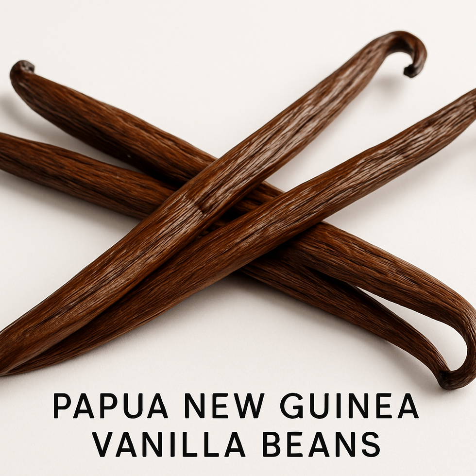 All You Need to Know About Growing Vanilla at Home 🌱 – VanillaPura
