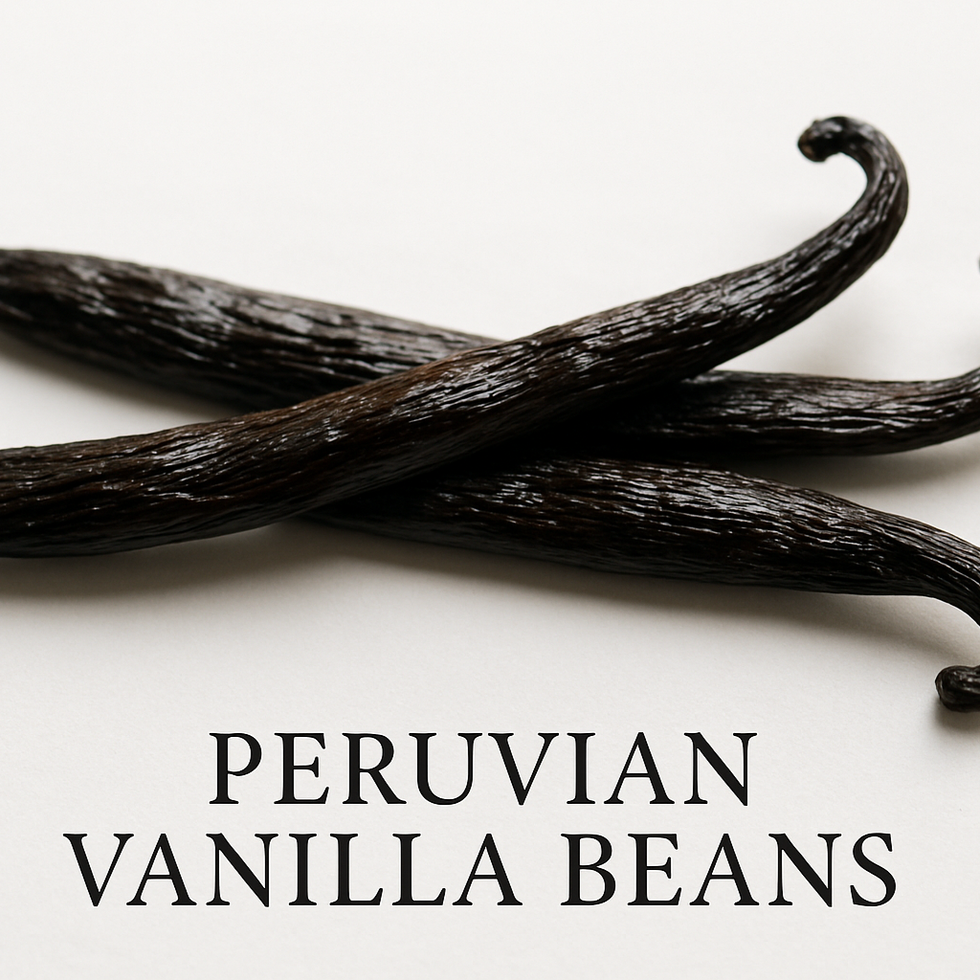 Best Jars for Homemade Vanilla Extract | Glass Bottles & Mother Jars ...