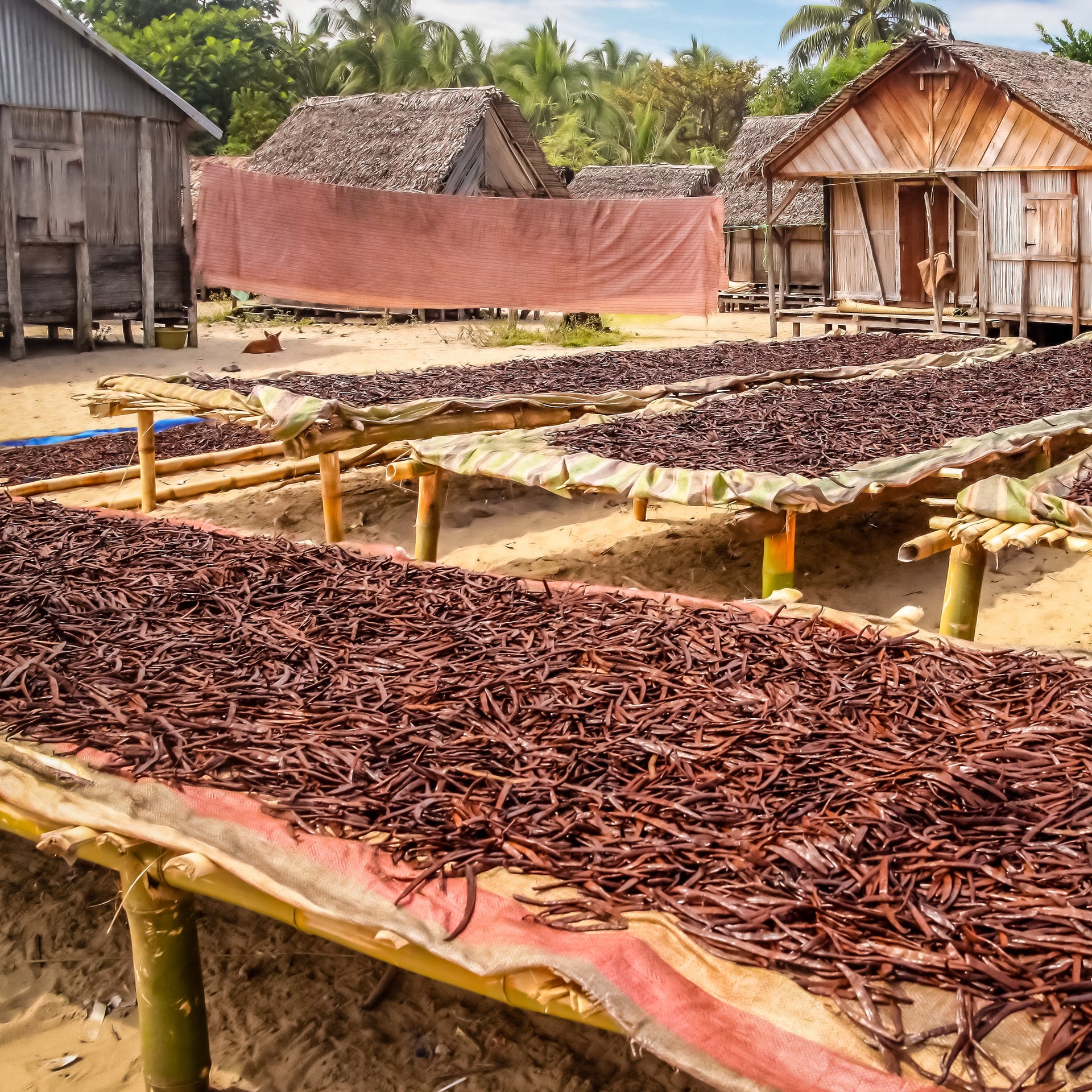 Vanilla Bean Substitutes: What to Use When You Run Out – VanillaPura