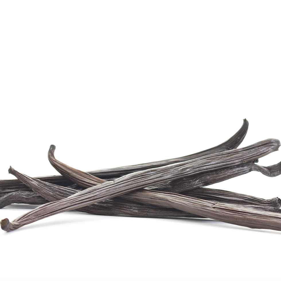 How to store your vanilla extract for long-term use – VanillaPura