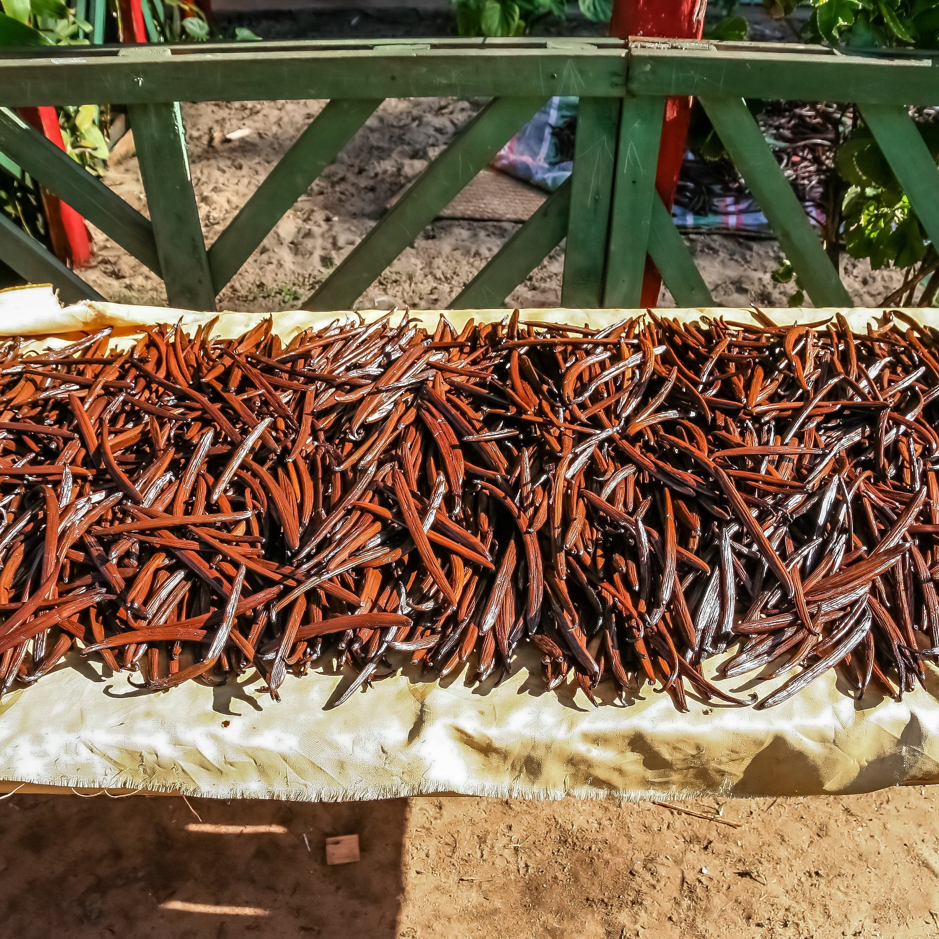 Best Jars for Homemade Vanilla Extract | Glass Bottles & Mother Jars ...