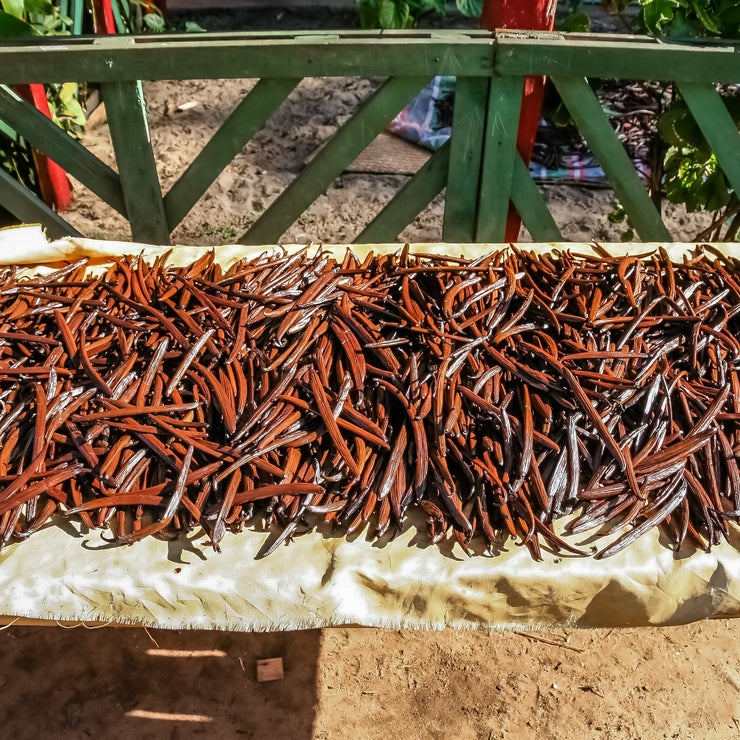 Free Vanilla Extract Calculator - How Many Beans Do You Need? – VanillaPura