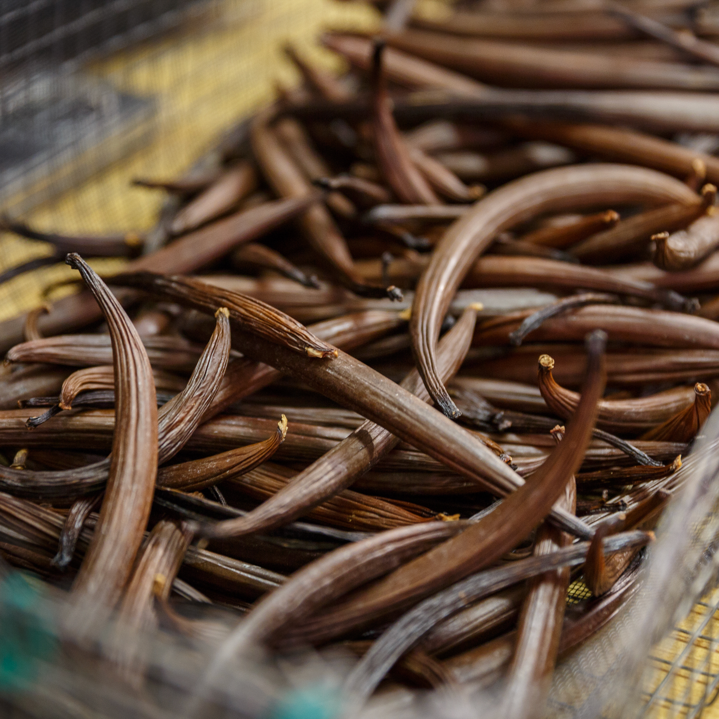 Vanilla Bean Substitutes: What to Use When You Run Out – VanillaPura